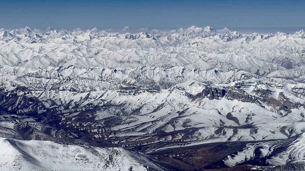 Photo Safari Workshop Snow Leopard January 2024 - Original Safari ...